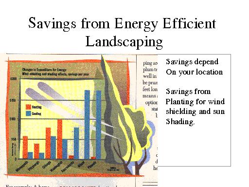 Savings from Energy Efficient Landscaping