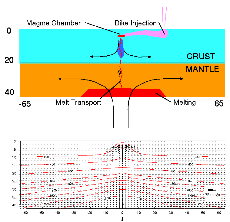 Crustal accretion model for Iceland predicts cold crust