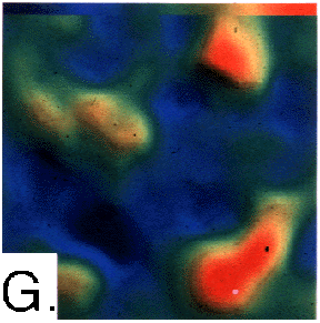 Applications of the POCS Inversion Method