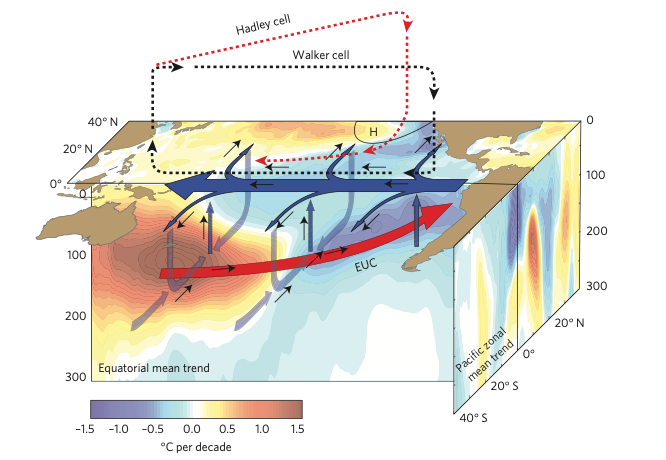 Schmatic of Meridional Over turning circulation in the Pacific (from ...